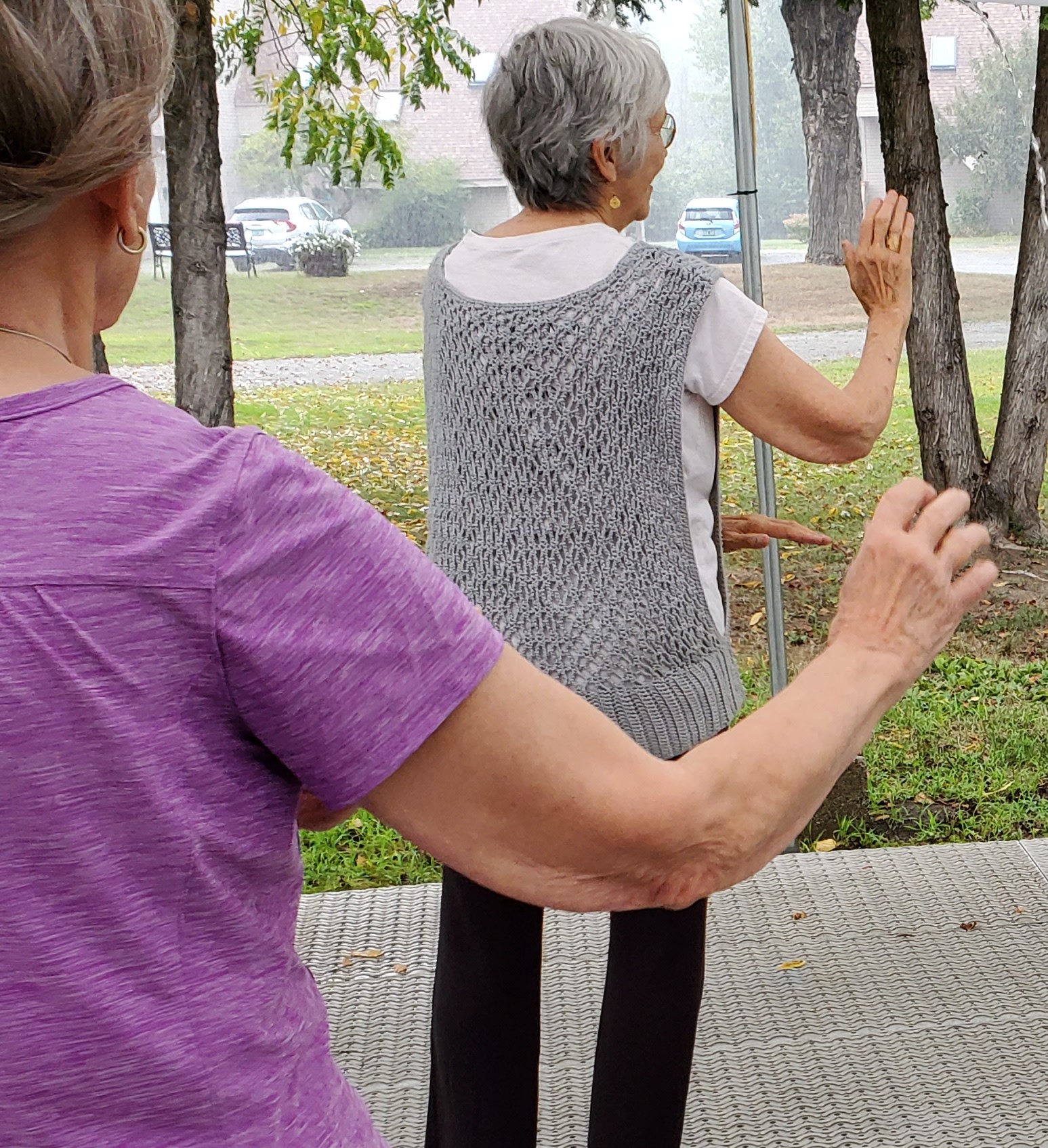 About Anne – Anne Bower–Tai Chi & Writing